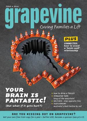 Issue 4 2014 - Grapevine Magazine