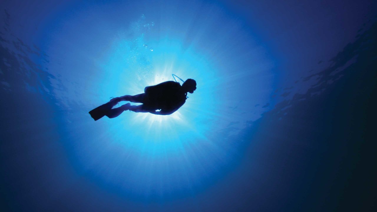 Into the Deep Blue - Grapevine Magazine